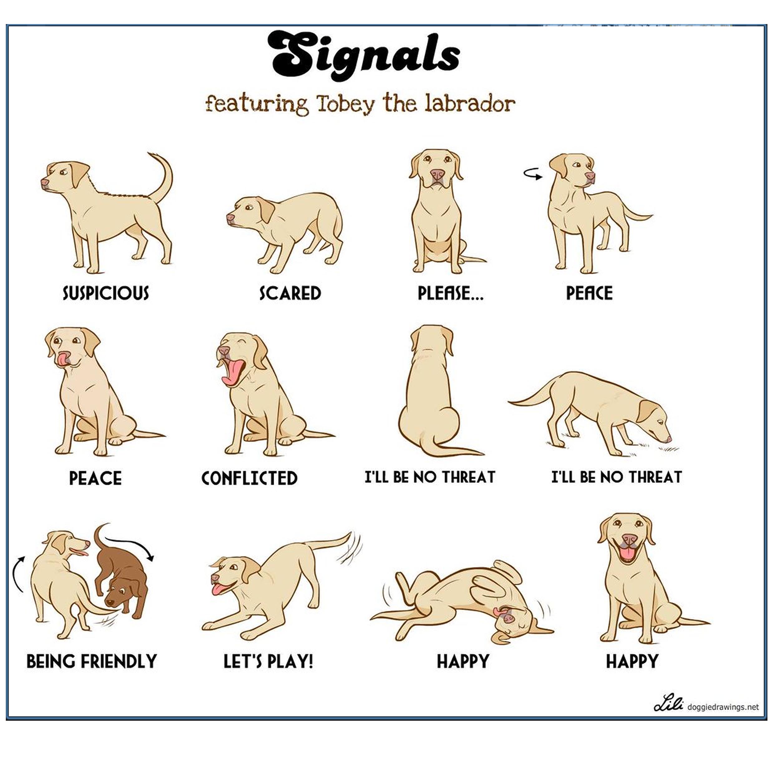 Speak Pup Speak Pup